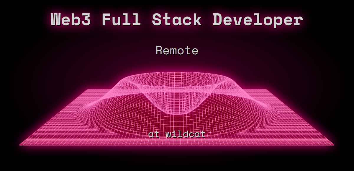 Web3 Full Stack Developer Remote at wildcat
