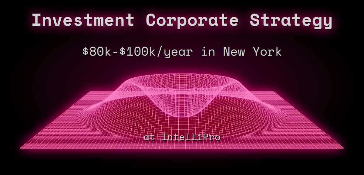 Web3 Investment Corporate Strategy $80k - $100k in New York at IntelliPro