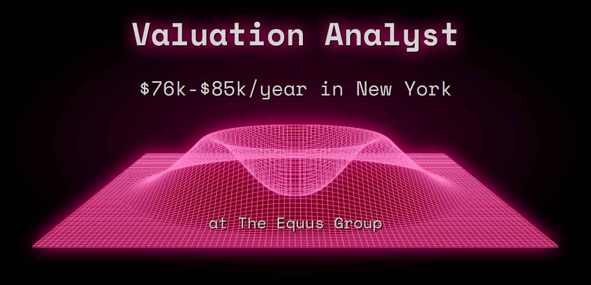 Web3 Valuation Analyst $76k - $85k in New York at The Equus Group