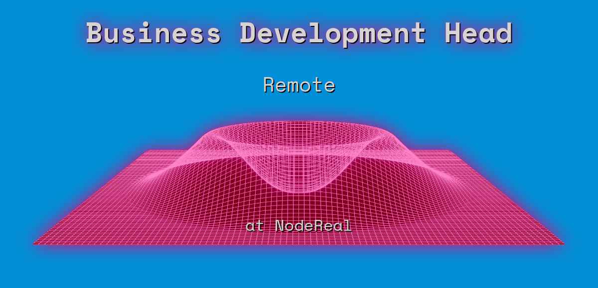 Web3 Business Development Head Remote at NodeReal