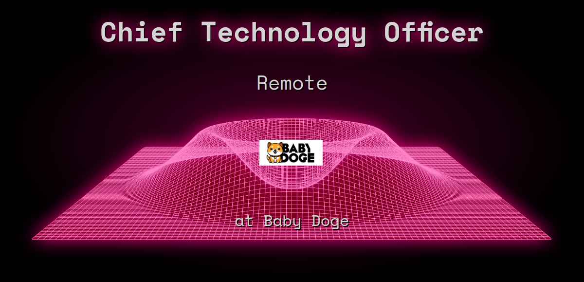 Web3 Chief Technology Officer Remote at Baby Doge