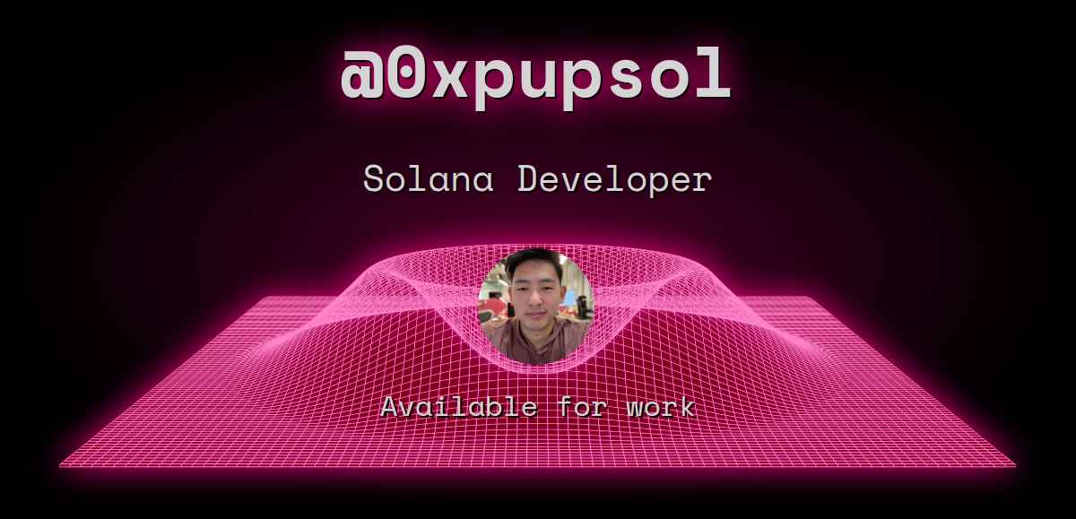Solana Developer in Netherlands: @0xpupsol | Web3 Jobs