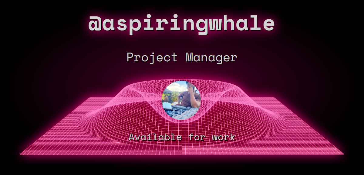 web3-project-manager-aspiringwhale-web3-jobs