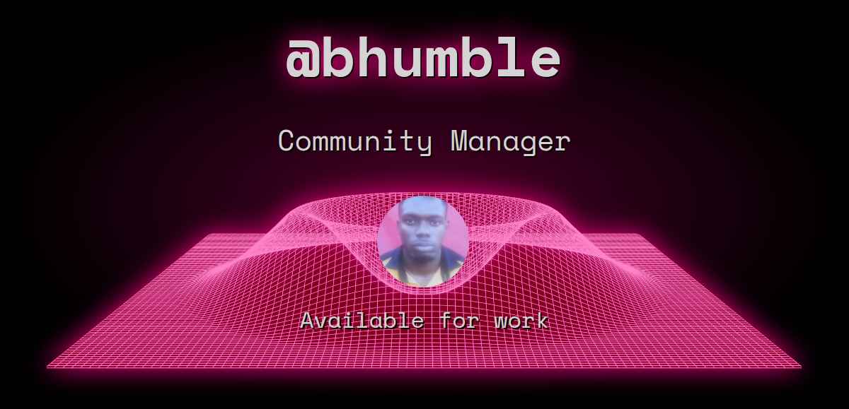 Web3 Community Manager in Nigeria: @bhumble | Web3 Jobs