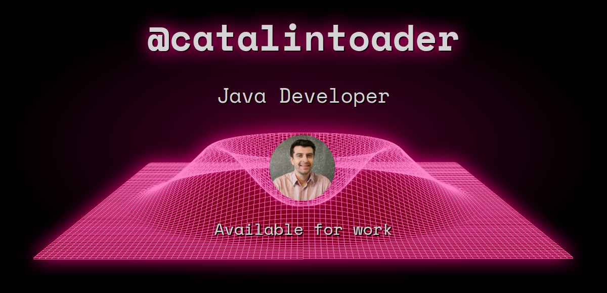 Web3 Java Developer in Romania: @catalintoader | Web3 Jobs