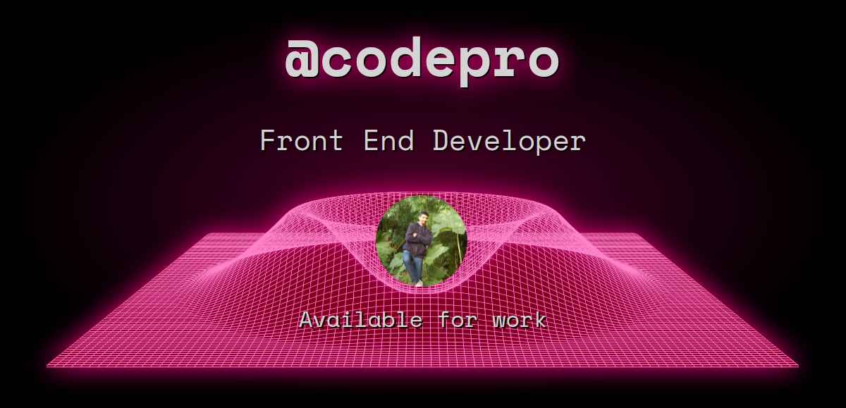 Web3 Front End Developer in Remote: @codepro | Web3 Jobs