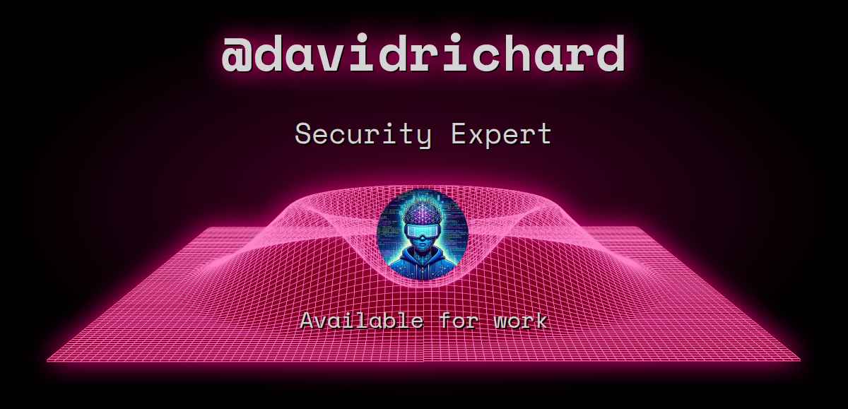 Web3 Security Expert in Spain: @davidrichard | Web3 Jobs