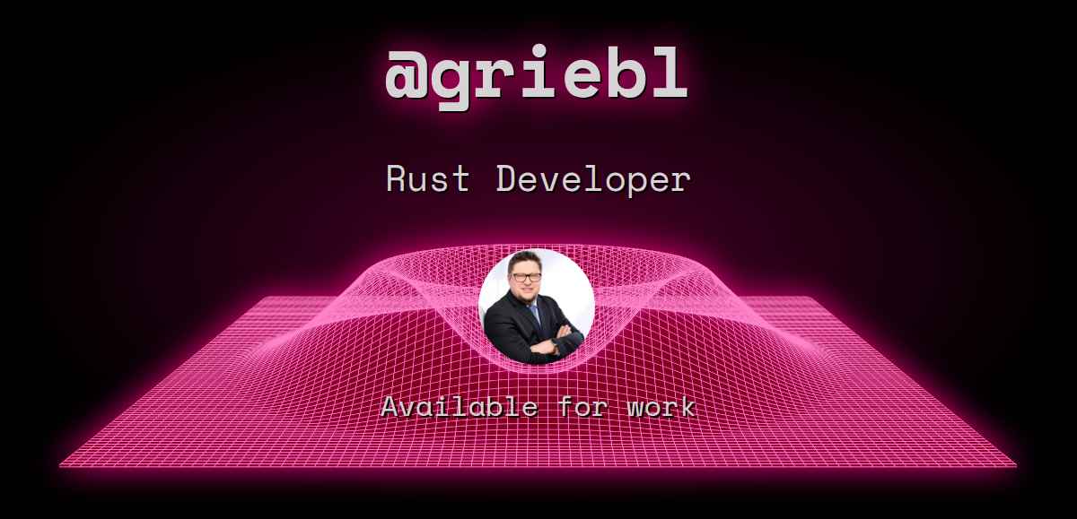 Web3 Rust Developer in Germany: @griebl | Web3 Jobs