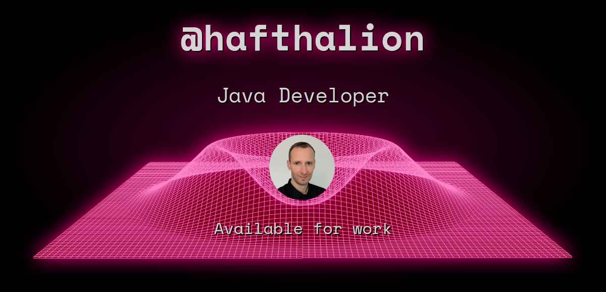 Web3 Java Developer in Austria: @hafthalion | Web3 Jobs