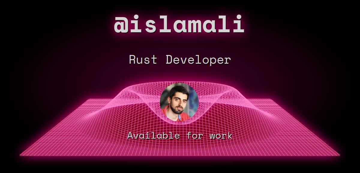 Web3 C++ Developer in Germany: @islamali | Web3 Jobs