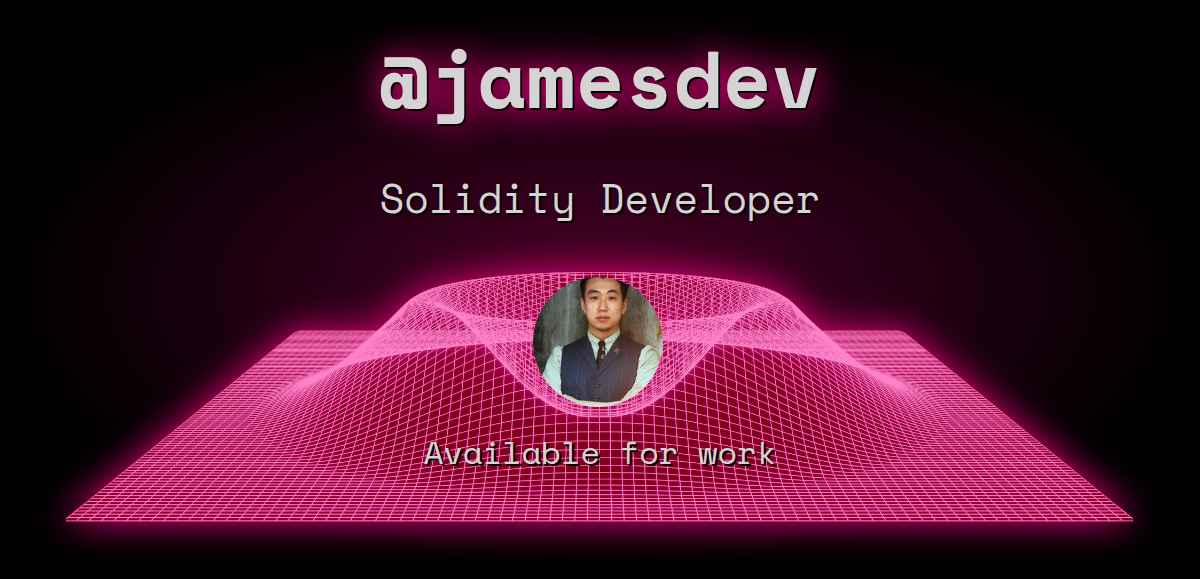 Solidity Developer in United States: @jamesdev | Web3 Jobs
