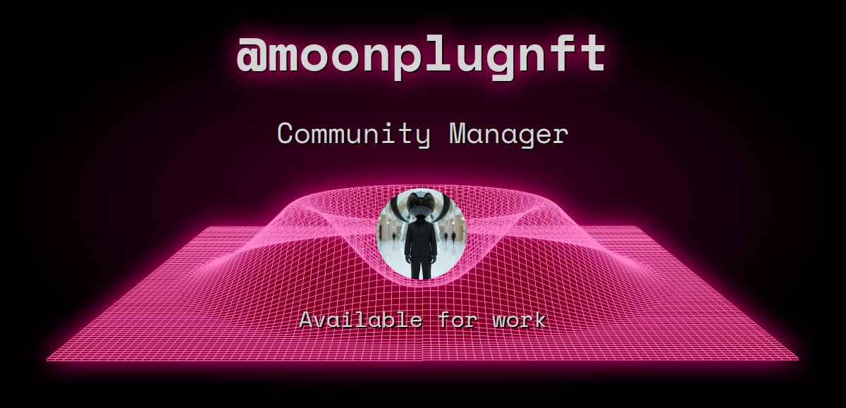 Web3 Community Manager in Nigeria: @moonplugnft | Web3 Jobs