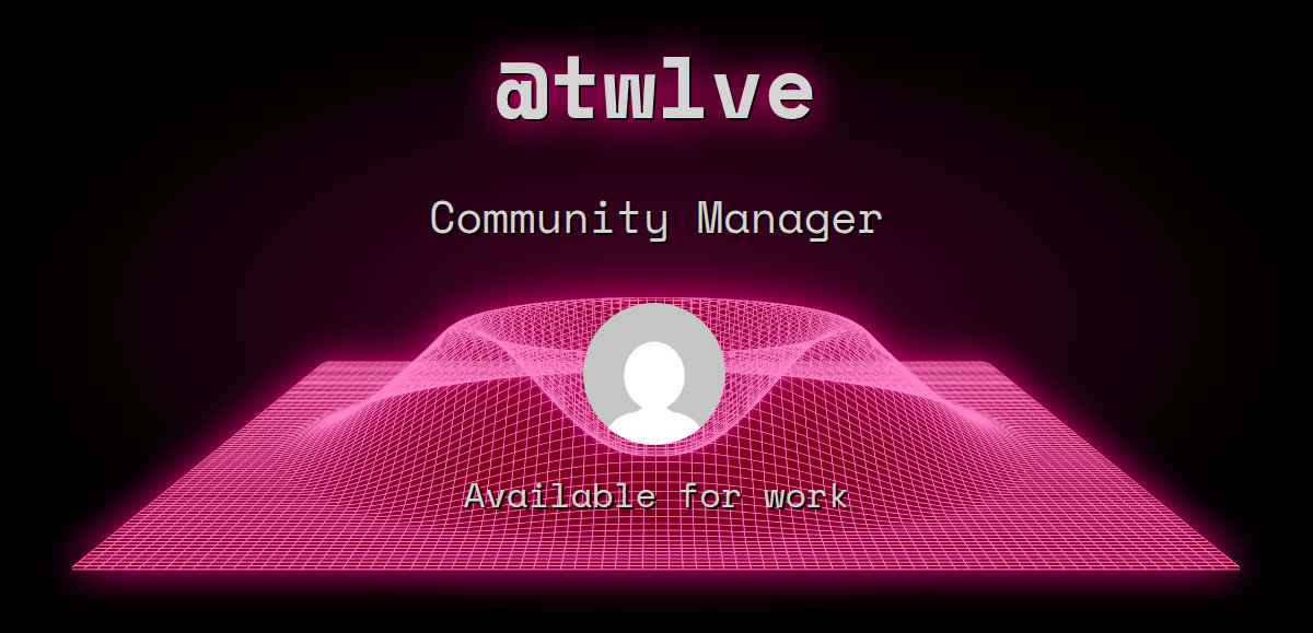Web3 Community Manager in Nigeria: @twlve | Web3 Jobs
